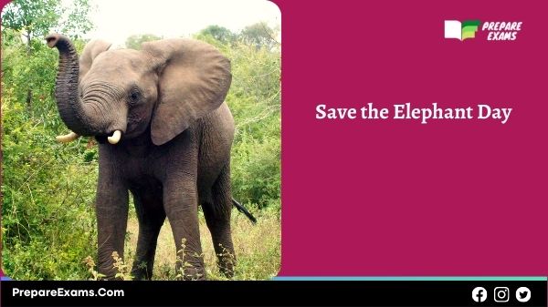 Save the Elephant Day 2023: Background, History - EducateBee